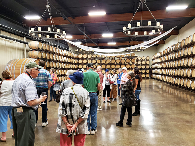 Inside the barrel room, visitors discover wine's secret hibernation chamber, where time and oak work their transformative magic.