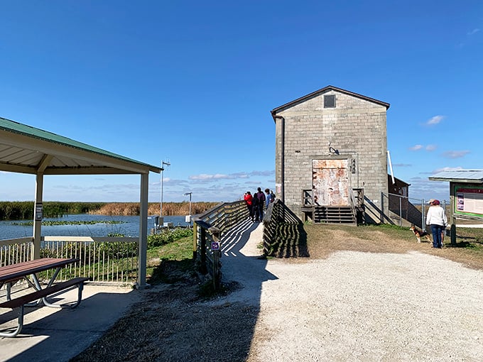 The pump house viewing area: where humans come to see wildlife and wildlife comes to see humans. Who's watching whom?