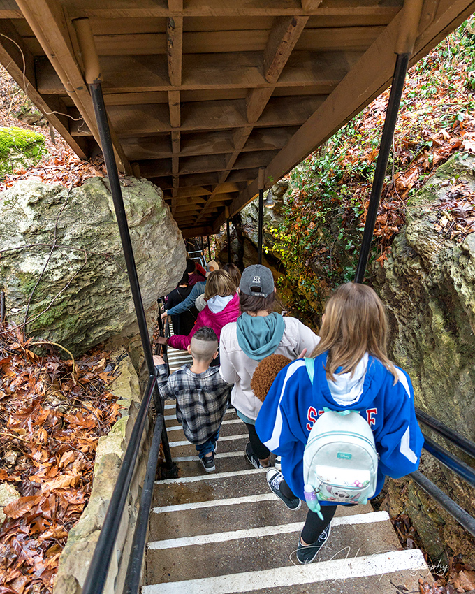 The descent begins! Young explorers embark on their underground adventure, unaware of the jaw-dropping wonders waiting below.