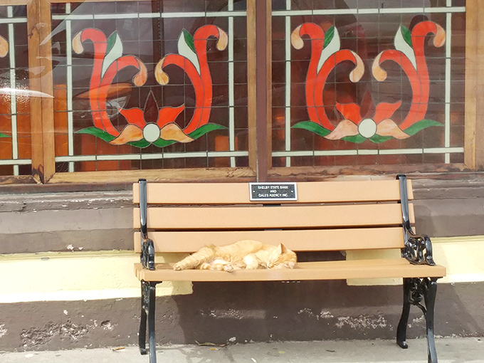Stained glass details add unexpected elegance to this unpretentious eatery. Even the local cat knows this is the place to be.