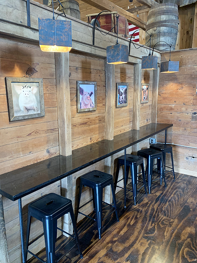 Farm animal portraits that remind you exactly where your delicious meal began. A tasteful tribute to the circle of flavor life.