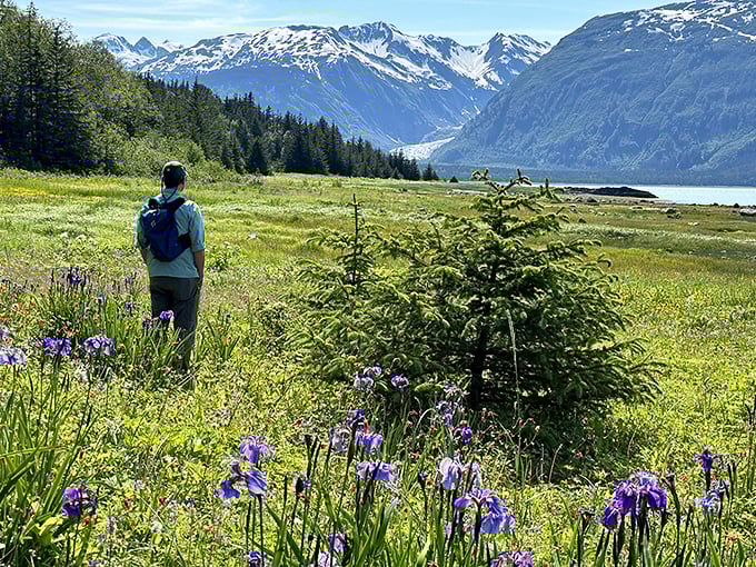 Wildflower meadows that would make Julie Andrews spin with delight. The hills are alive with the sound of "wow!"