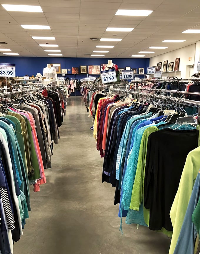 Women's tops for $3.99? Even my most frugal aunt would call this a steal while filling her cart.