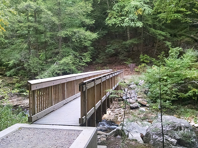 Creek crossings via sturdy wooden bridges make even casual strolls feel like proper outdoor adventures. 