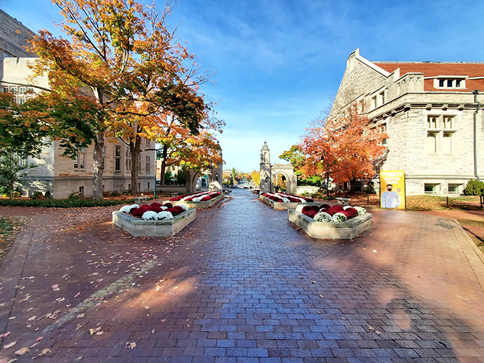 Bloomington's square embodies everything wonderful about Indiana's college towns wrapped in limestone and friendly smiles.