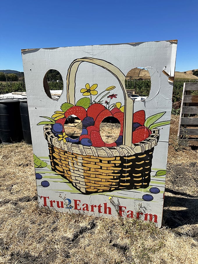 Berry art that makes you smile! Tru2earth's playful sign promises a basket of goodness waiting in the fields.