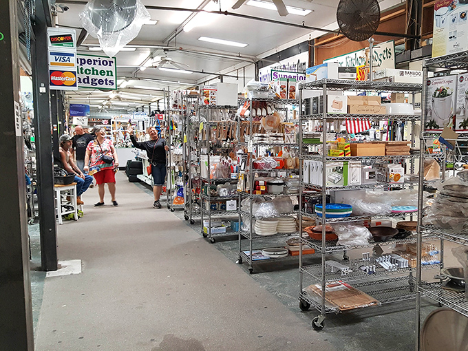 Beneath fluorescent lights, vendors arrange their wares with care, each shelf a new possibility for discovery.