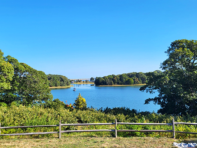 Hidden coves and pristine waters create the perfect backdrop for life's simple pleasures.