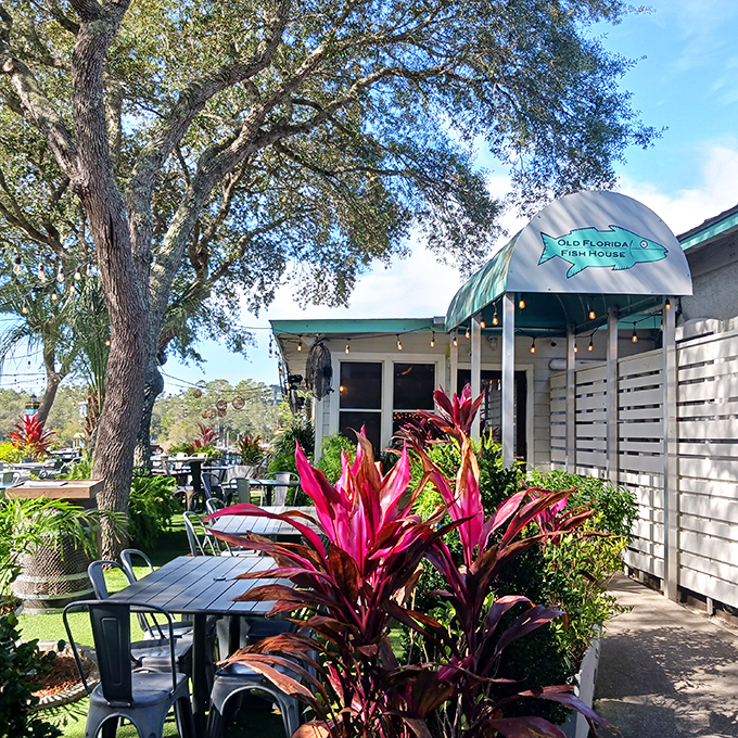Those vibrant plants aren't just landscaping &ndash; they're setting the tropical stage for seafood that sings with freshness.