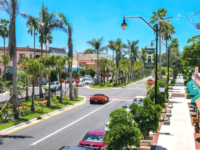 Palm-lined streets welcome visitors to Venice, Florida's hidden gem where retirement dollars go further than you'd expect.