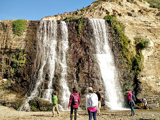 Alamere Falls performs nature's ultimate magic trick – a waterfall that cascades directly onto the beach, drawing admirers from miles around.