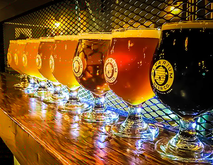 Alvarium's craft beer lineup showcases liquid artistry in every glass. The spectrum of flavors tells New Britain's story in hops and barley.