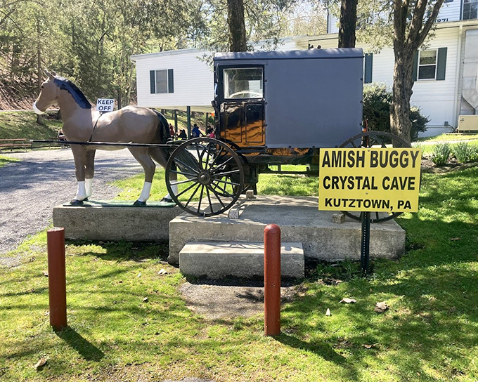 Another horse-and-buggy display &ndash; because nothing says "timeless attraction" quite like transportation that never needed a charging station.