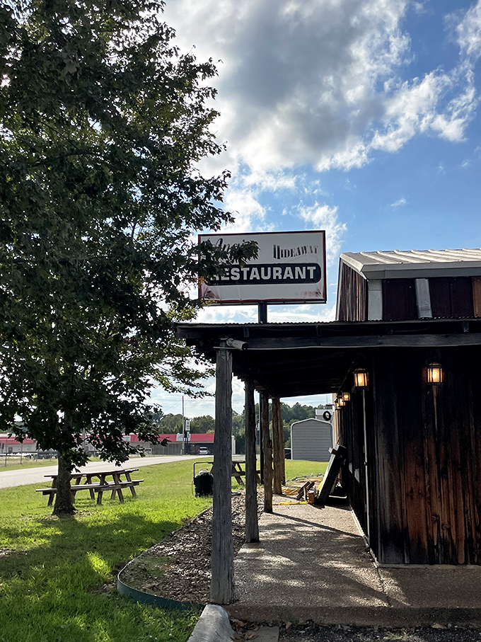 Sugar Loaf Mountain rises from Greers Ferry Lake like nature's cathedral, offering hikers breathtaking views that make those Social Security checks seem even more valuable. 