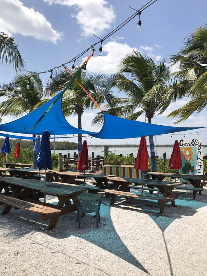Blue skies, palm trees, and picnic tables by the water &ndash; Mother Nature's dining room with Crabby Lady providing the feast.
