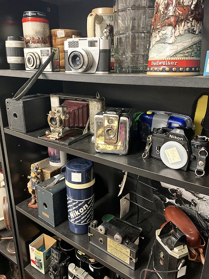 From Kodak moments to Nikon memories, these cameras captured first steps, graduations, and "I dos" long before selfies existed.