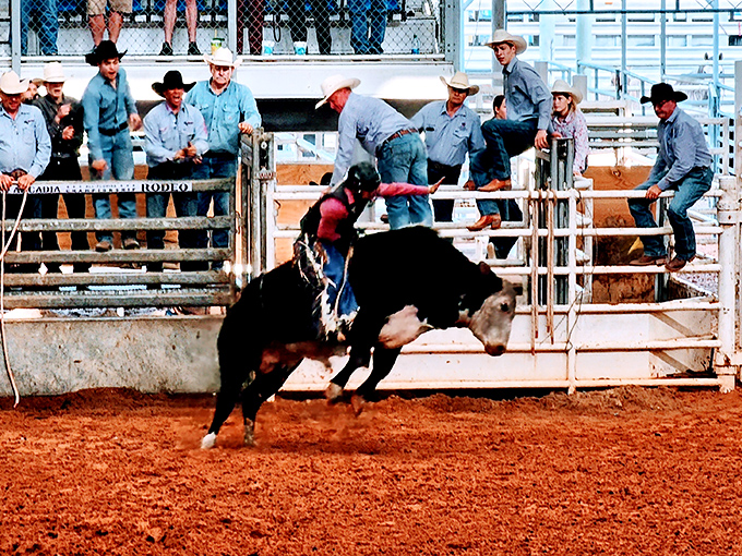 The All-Florida Championship Rodeo brings cowboy culture to life. This isn't some tourist show—these folks know which end of the bull is which.