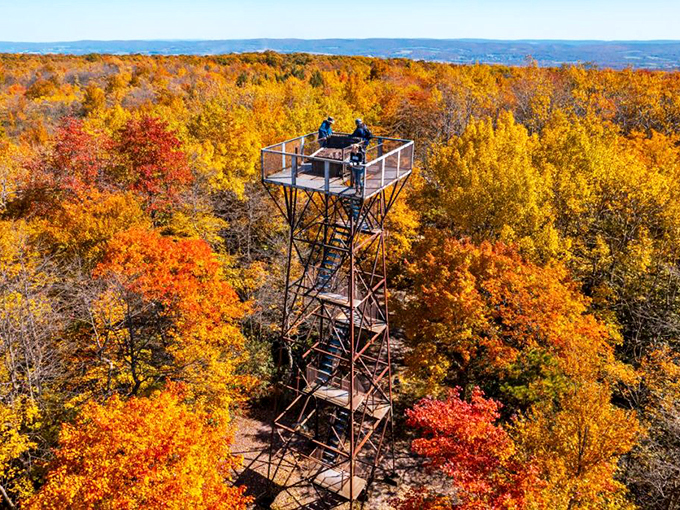 Autumn's observation tower reveals a kaleidoscope of colors that no retirement budget could ever put a price on.