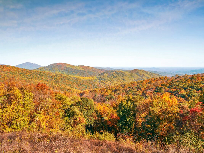 Fall foliage that rolls across mountains in waves of color, making leaf peepers weep with joy annually.