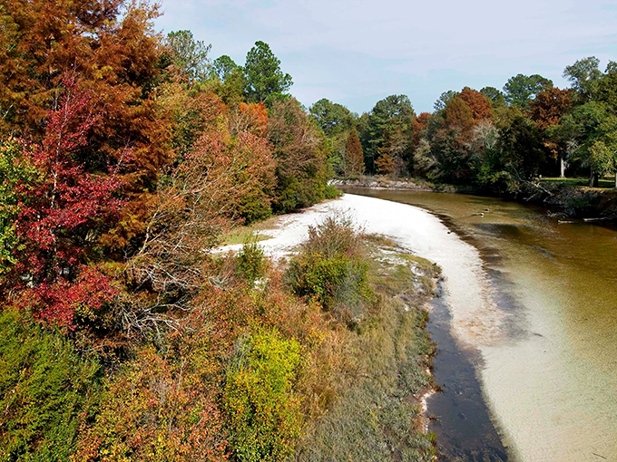 Fall foliage along the Withlacoochee River proves Florida has seasons too&mdash;they're just more subtle, like a whispered secret rather than a shouted announcement.