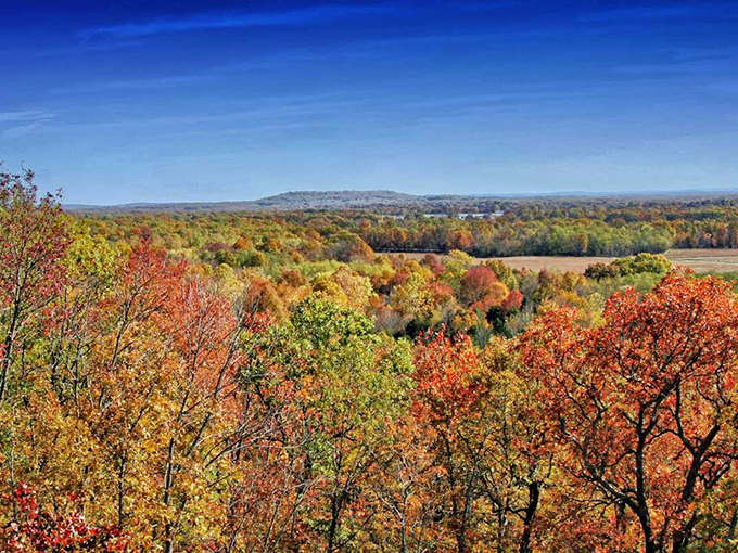 Fall foliage in Arkansas rivals New England's famous display, but without the tour buses and inflated hotel rates &ndash; nature's free show for locals.