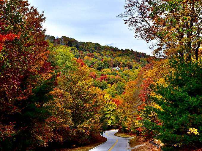 Fall foliage in Arkansas doesn't charge admission&mdash;Newport residents enjoy nature's most spectacular show from their affordable front porches.