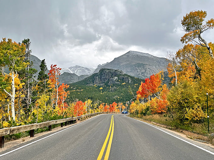 Fall paints the mountainside in fiery brushstrokes, turning an ordinary drive into Colorado's most spectacular color tour.