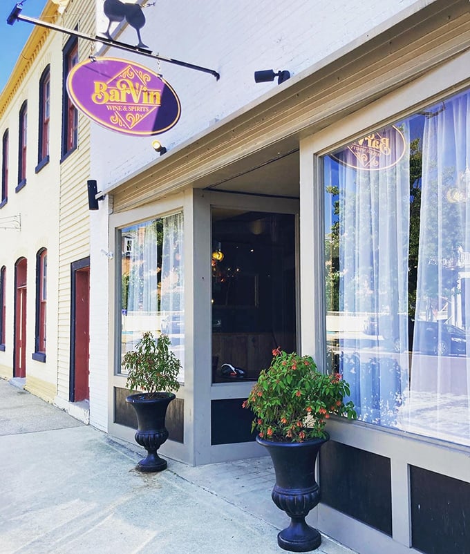 Bar Vin's inviting entrance beckons passersby with promises of fine wines and spirits, potted plants adding a touch of European charm.