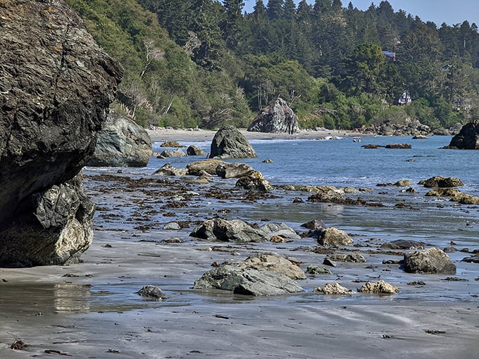 Trinidad's beaches reveal themselves at low tide like a seafood buffet for the eyes – rocky treasures and tidal pools teeming with miniature marine worlds.