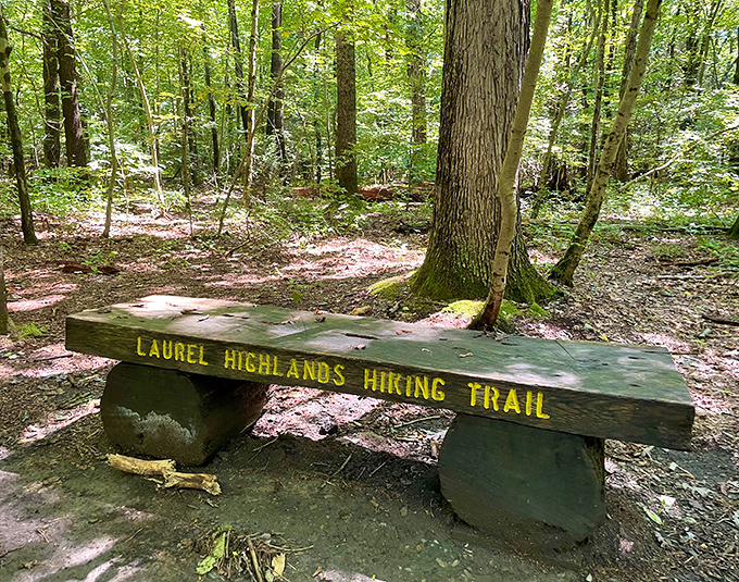 The Laurel Highlands Trail bench &ndash; nature's invitation to sit a spell and contemplate absolutely nothing or absolutely everything.