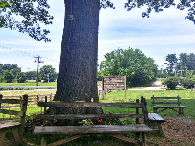 Where the magic happens&mdash;this spotless production facility transforms fresh milk into the creamy concoctions that keep customers coming back.