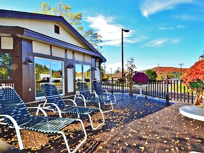 Deck chairs that practically whisper "sit down and stay awhile." Even the fallen leaves seem to be taking their time, reluctant to leave such a peaceful spot.
