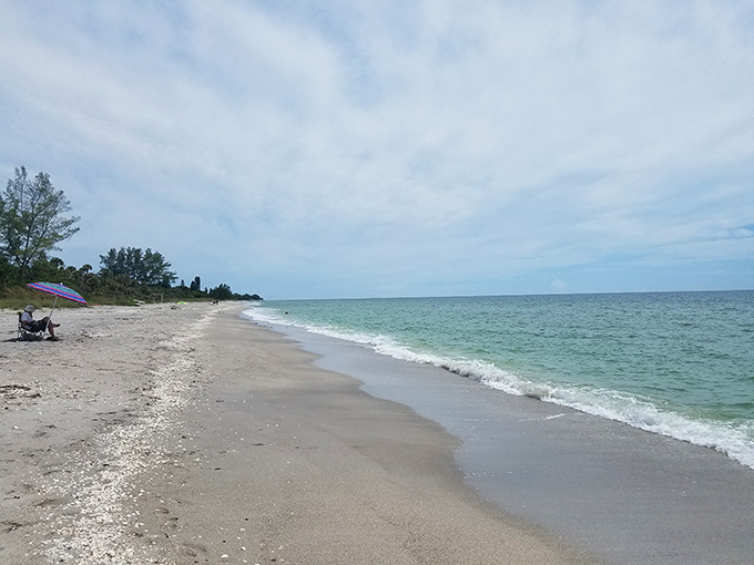Beaches without crowds—the true Florida luxury. Englewood's shorelines offer peaceful walks where the only footprints you'll follow might be your own from yesterday.