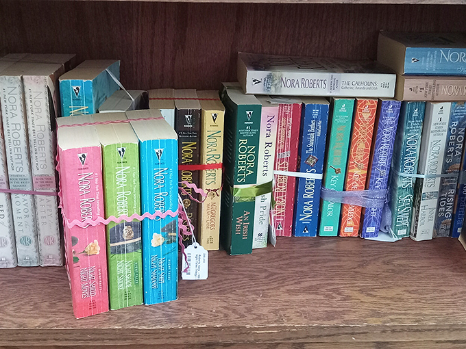 Books lined up like literary soldiers, spines at attention. Nora Roberts novels standing ready to transport readers to worlds more romantic than dating apps.