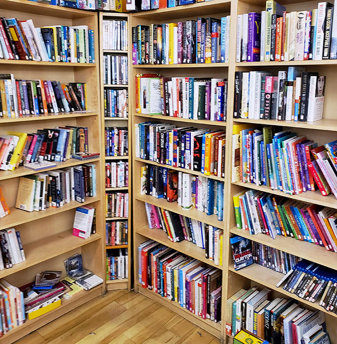 Literary heaven for the budget-conscious bibliophile. These shelves hold forgotten bestsellers and hidden gems, all waiting for their next chapter with you.
