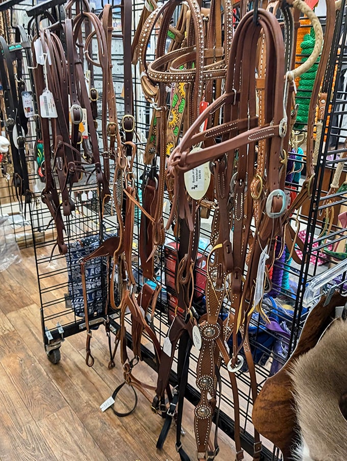 Equestrian elegance without the equestrian prices. Leather bridles and headstalls that would make any horse (or wall) look fancy.