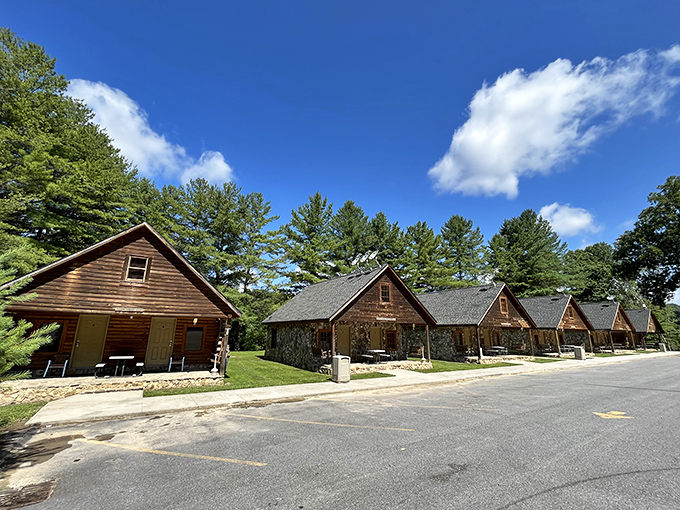 These charming cabins offer a woodland retreat that delivers the peace wealthy urbanites pay thousands for, at a fraction of the cost.