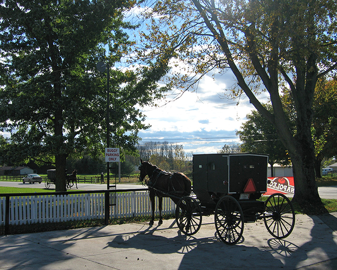 Shaded buggy parking under autumn trees proves that even the Amish appreciate a good parking spot near the shops.