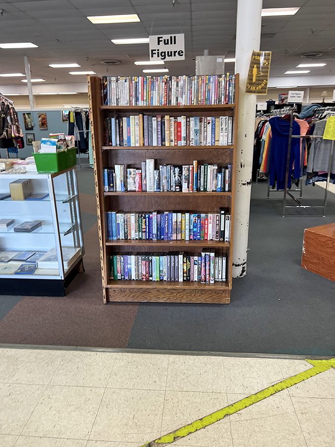 This unassuming bookshelf holds cinematic adventures waiting to be rediscovered. Remember when we actually owned movies instead of subscribing to them?