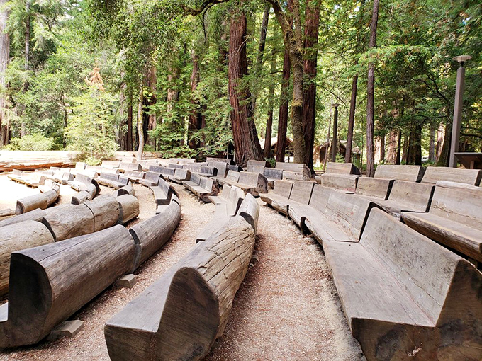 These log benches aren't just seating&mdash;they're front-row tickets to nature's greatest show, arranged in perfect harmony with their surroundings.