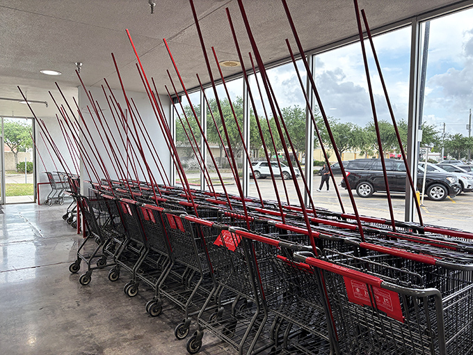 Shopping cart battalion at the ready! These red-trimmed chariots await their mission to transport unexpected treasures to new homes.