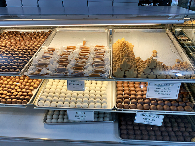 A display case that should come with a warning label: "May cause involuntary drooling." Those maple candies aren't treats—they're tiny miracles.