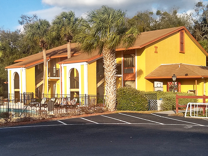 The Central Motel's cheerful yellow exterior and palm trees offer Florida charm without the resort prices or spring break chaos.