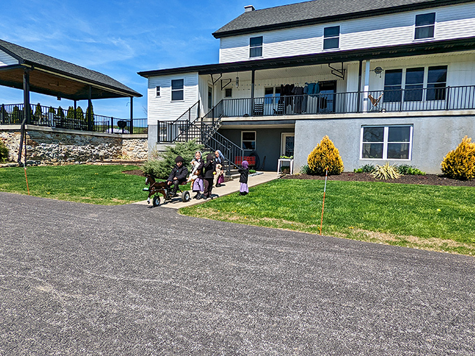 Little explorers discovering where food comes from without a screen in sight&mdash;childhood education that no app could ever replace.