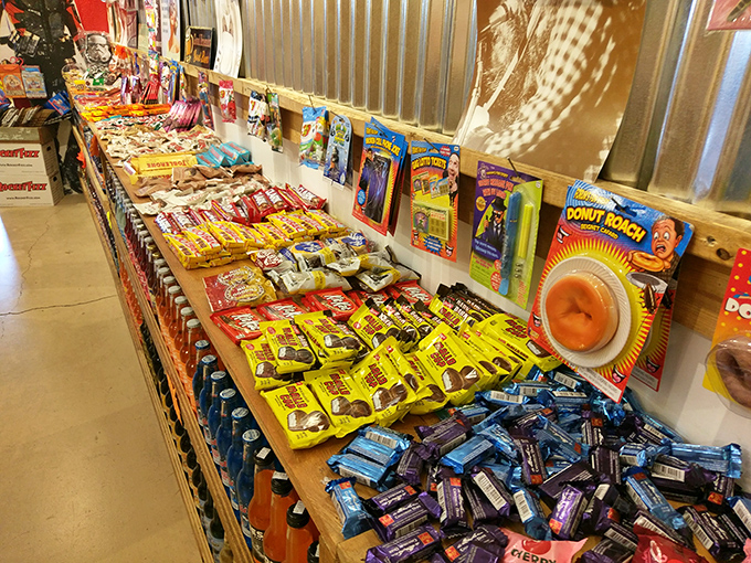 This candy counter display triggers instant childhood regression&mdash;suddenly you're eight years old with a pocketful of allowance and permission to choose one treat.