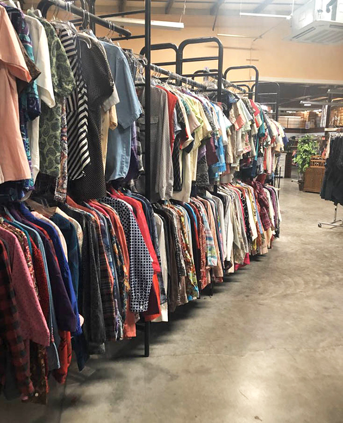 The clothing section stretches as far as the eye can see, a fabric library where patience rewards the persistent with designer labels at bargain prices.