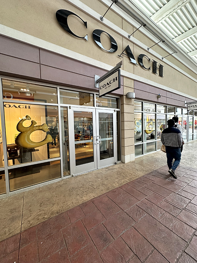 Coach: where leather goods whisper promises of organization and sophistication. "This purse will finally help you find your keys," they lie beautifully.
