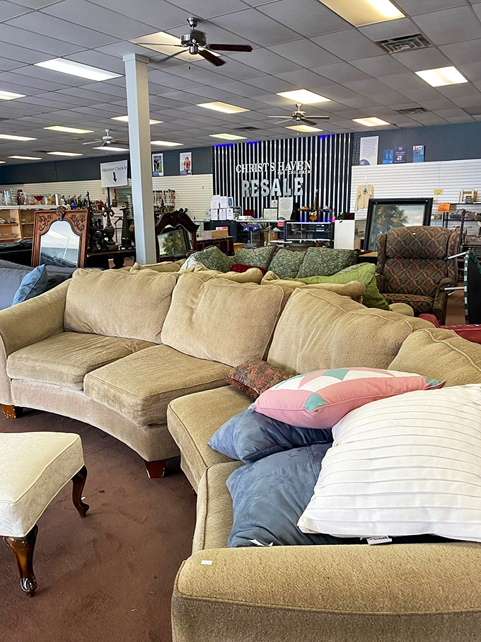 Sofa so good! These comfortable couches could transform your living room without transforming your savings account into empty space.