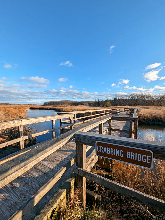 The "Crabbing Bridge" showcases winter's stark beauty across the marshlands. A wooden pathway to contemplation where the only traffic is the occasional heron.