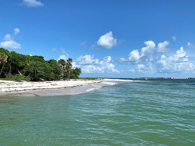 Where the forest meets the sea. This curved shoreline showcases Florida's natural beauty without a high-rise condo in sight.